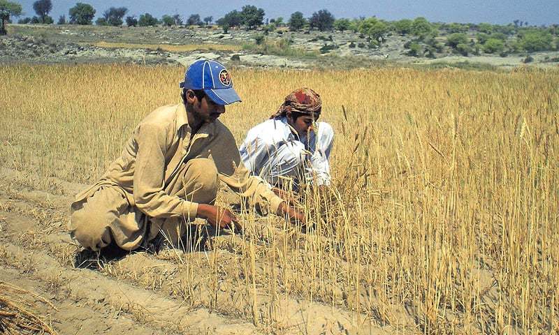 Govt plans to bring vast barren land under cultivation - Pakistan ...