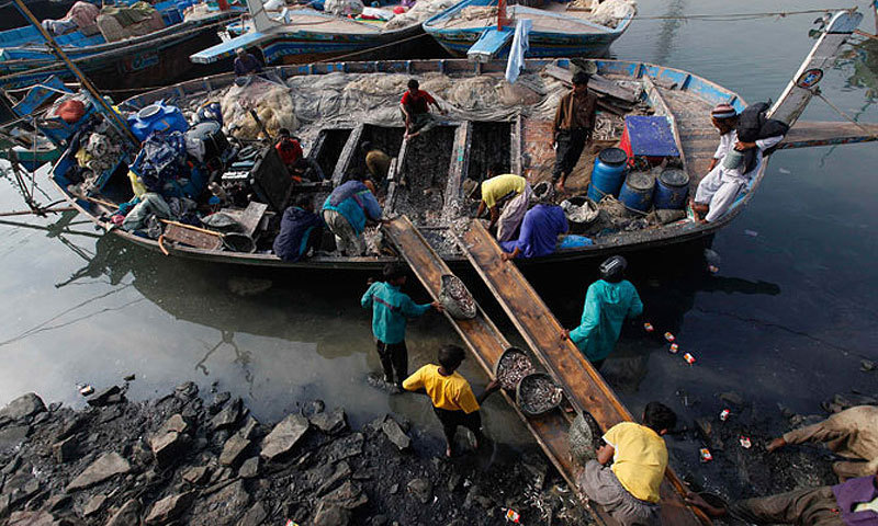 Slumlords of the sea - Herald