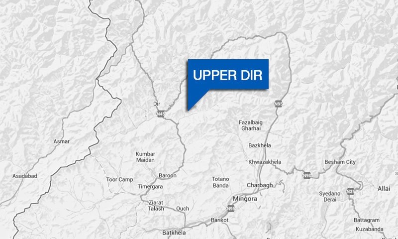 Police arrest 14 suspects in Upper Dir - Newspaper - DAWN.COM