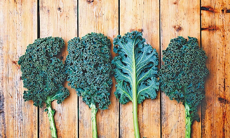 Food: On the kale trail - Newspaper - DAWN.COM