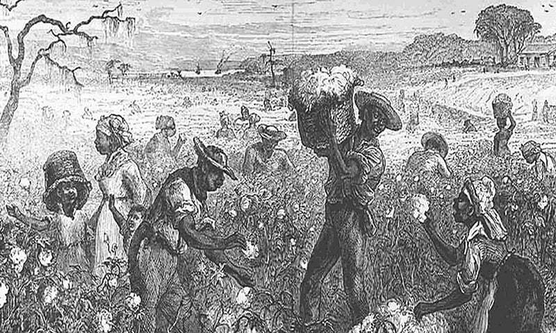 The cotton route - Newspaper - DAWN.COM