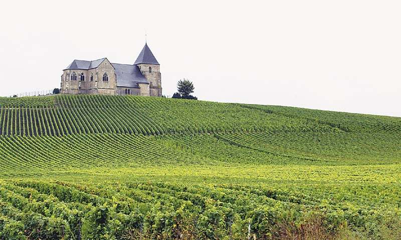 Unesco declares Champagne’s vineyards as world heritage - Newspaper ...