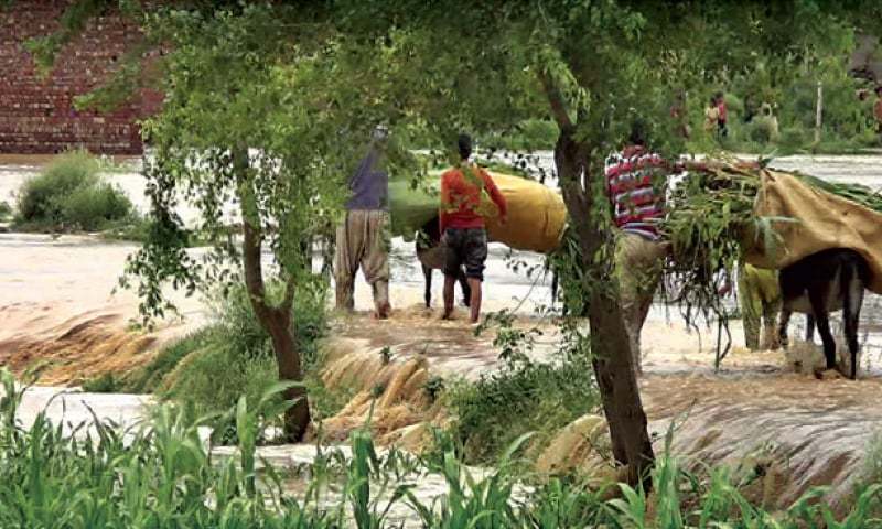 Floodwater causes 10 breaches in Nullah Dek - Newspaper - DAWN.COM