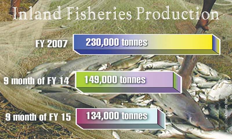 Falling inland fish production - Newspaper - DAWN.COM