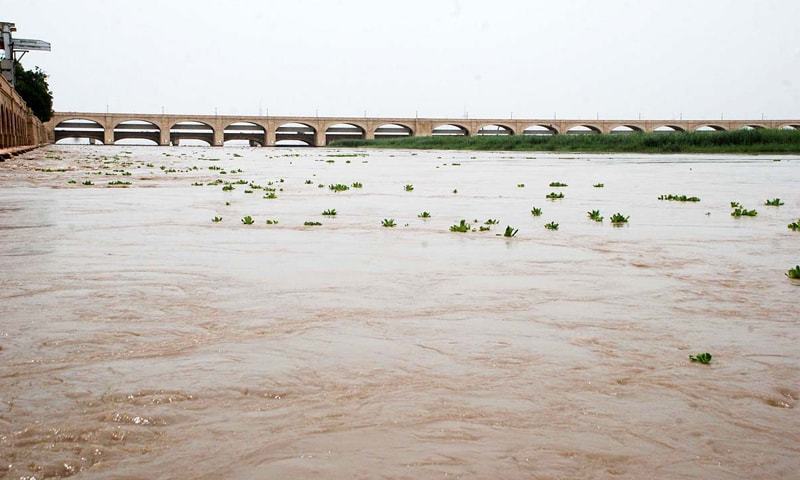 High flood at Chashma, Kalabagh - Pakistan - DAWN.COM