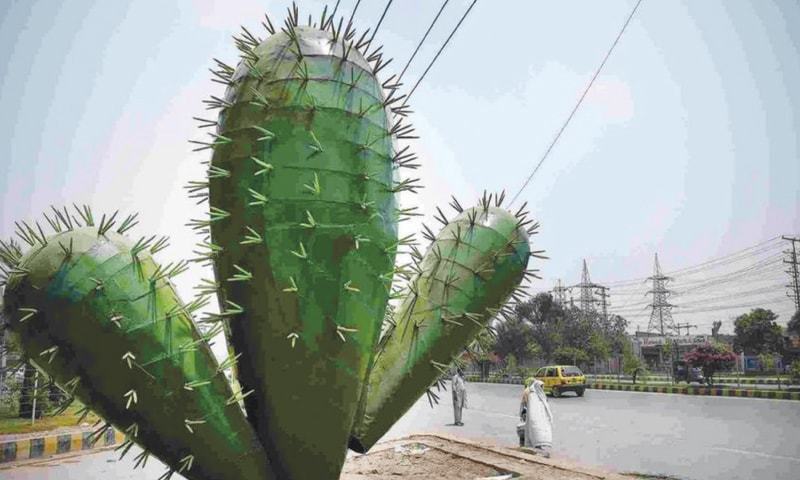 Environment: Welcome to cactus land! - Newspaper - DAWN.COM
