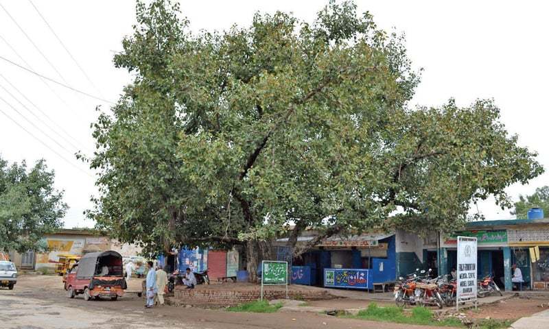 Chakwal’s oldest village losing its historic sites - Pakistan - DAWN.COM
