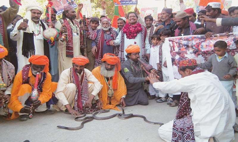 Jogi community celebrates ‘culture day’ - Newspaper - DAWN.COM