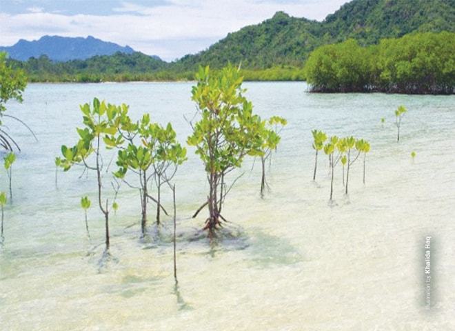 Unrestrained sea intrusion - Business - DAWN.COM