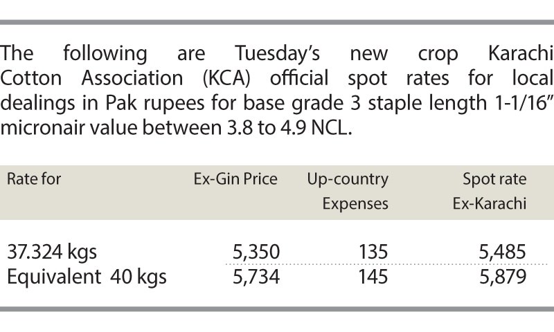 Cotton price drops - Business - DAWN.COM