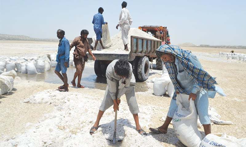 Labour: Worth their salt - Newspaper - DAWN.COM