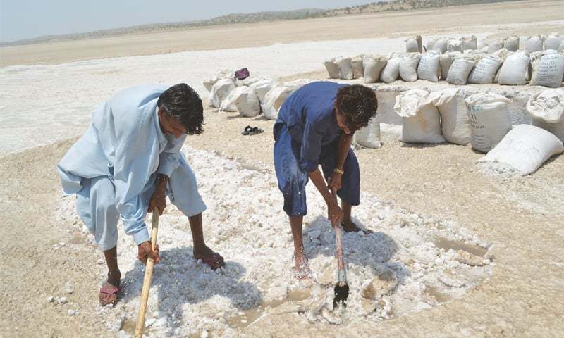 Labour: Worth their salt - Newspaper - DAWN.COM