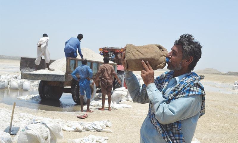 Labour: Worth their salt - Newspaper - DAWN.COM