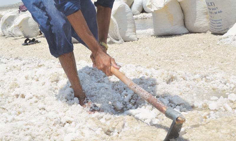 Labour: Worth their salt - Newspaper - DAWN.COM