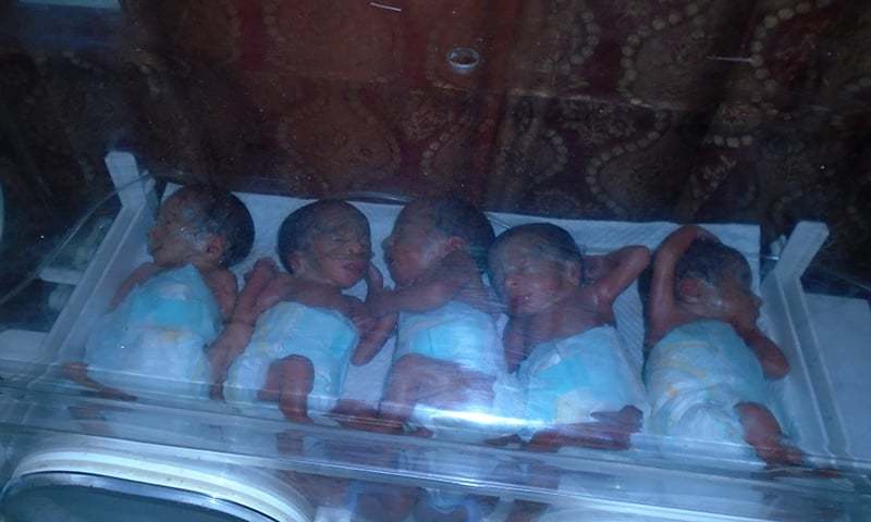 Over 1,000 twins, triplets and quadruplets born in a year in KP ...