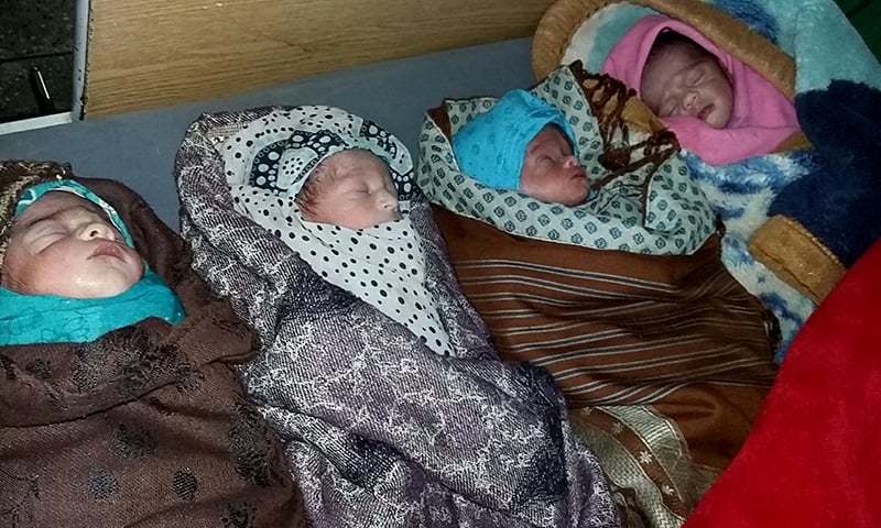 Over 1,000 twins, triplets and quadruplets born in a year in KP ...