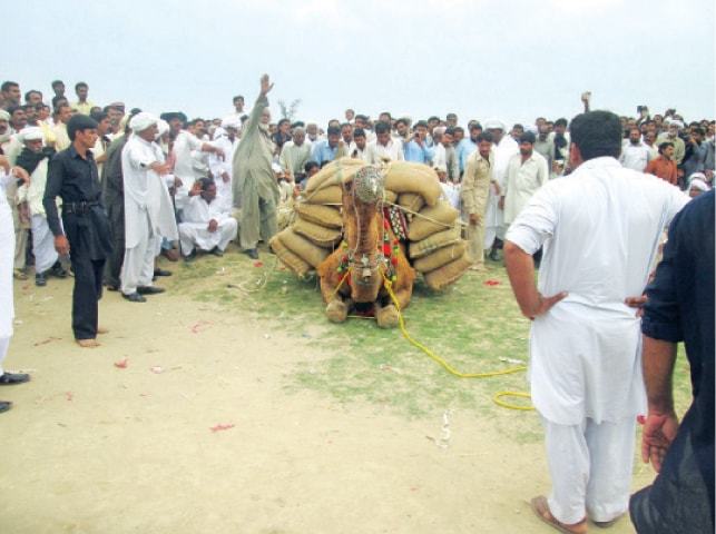 Chakwal’s traditional game returns after 40 years - Newspaper - DAWN.COM