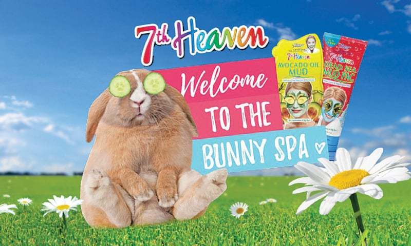 Story times: The world’s first bunny spa is opening in London ...