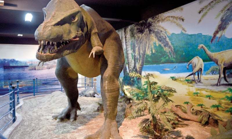 A day at the natural history museum - Pakistan - DAWN.COM