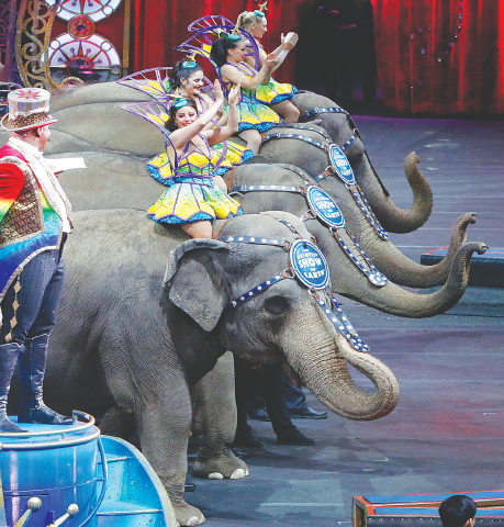 Curtain falls on elephants’ performance at US circus - Newspaper - DAWN.COM