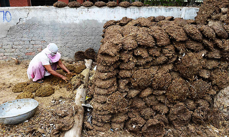 Poo-powered pumps help Punjab farmers grow richer, greener - Pakistan ...