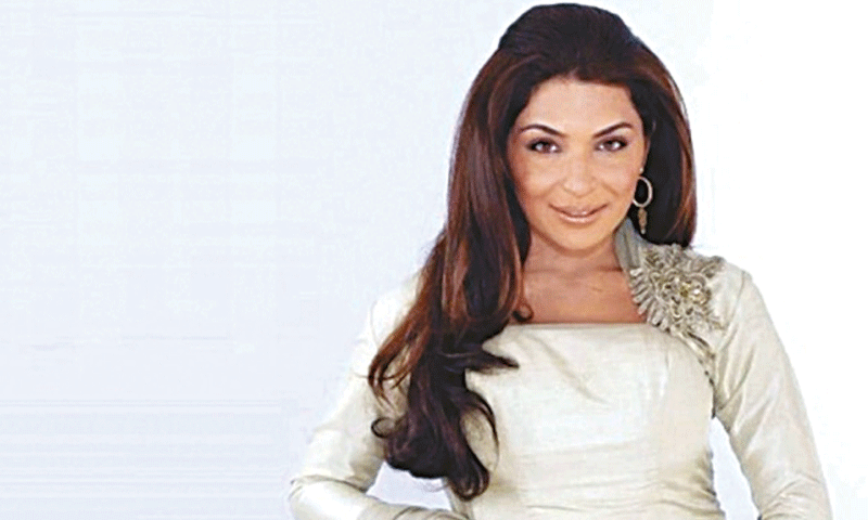 Meera takes a stand - Newspaper - DAWN.COM