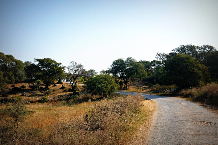 In the footsteps of Rajas: A journey through the soul of Potohar - DAWN.COM