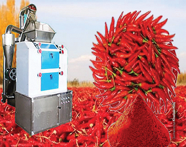 First red chilli dehydration plant will go into operation in July ...