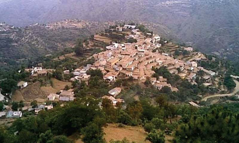 Gadoon area gradually losing forest cover - Newspaper - DAWN.COM