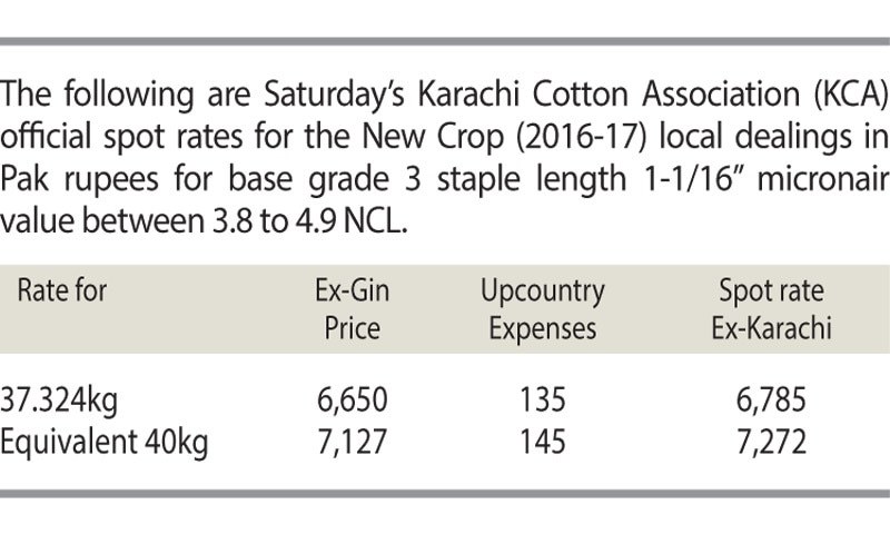 Cotton price at seasonal high - Business - DAWN.COM
