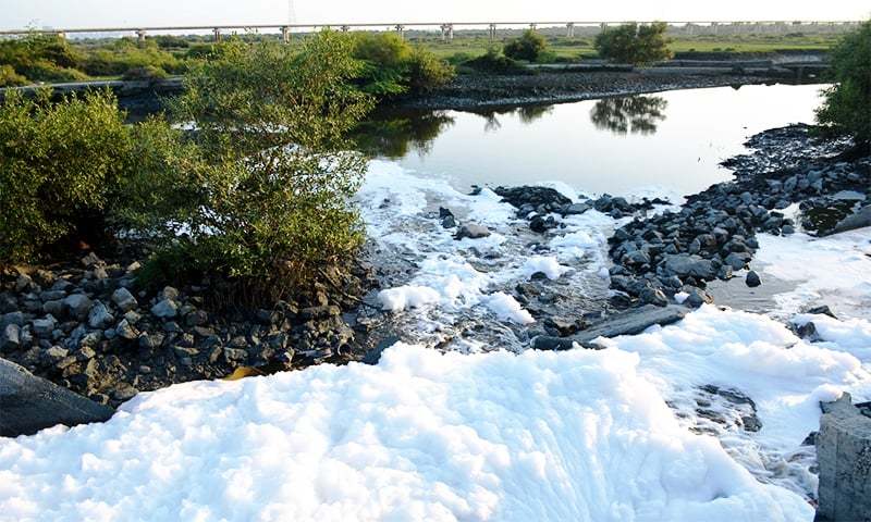 Dirty water takes heavy health toll in Sindh, Pakistan - Pakistan ...