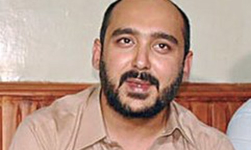 Kidnappers belonged to Al Qaeda Punjab: Ali Haider Gilani - Pakistan ...