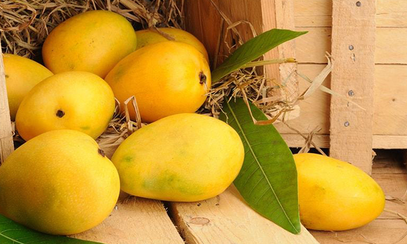 90,000 tonnes of mango exported - Business - DAWN.COM