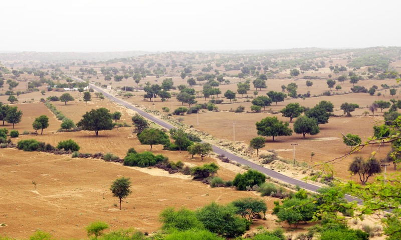 Unbelievable pictures of Thar desert after the rain - DAWN.COM