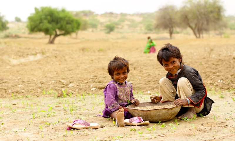 Unbelievable pictures of Thar desert after the rain - DAWN.COM