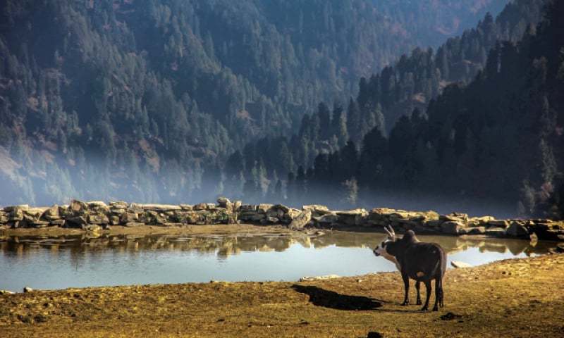 Natural beauty, history intermingle at Swat lake - Pakistan - DAWN.COM