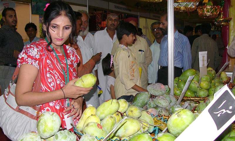 Here is why Pakistan is more diverse than you thought - Pakistan - DAWN.COM