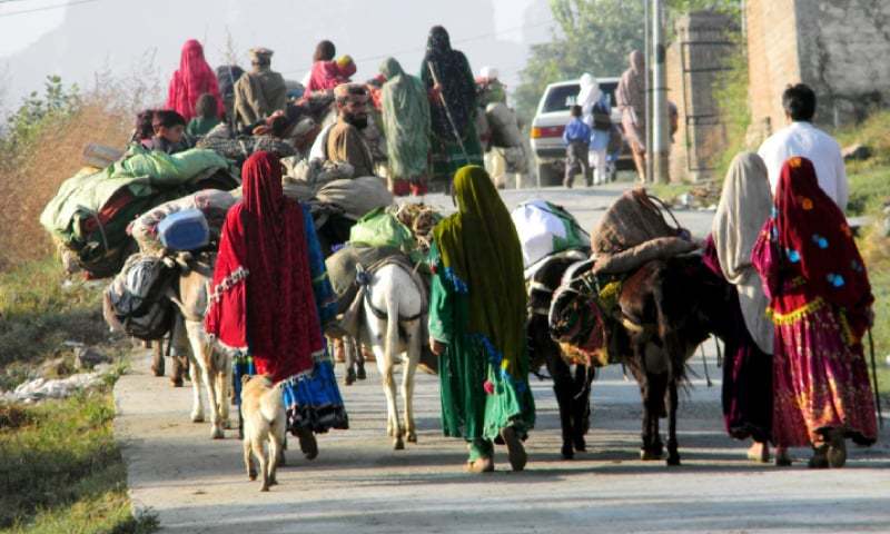 Kohistani nomads — constantly on the move - Pakistan - DAWN.COM