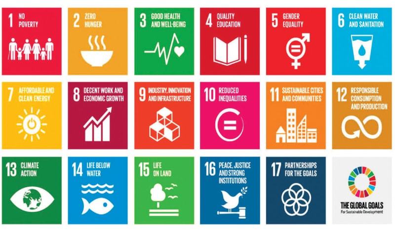 Integrating SDGs in business model - Business - DAWN.COM