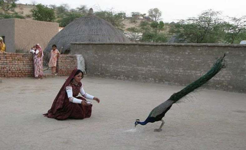 Here is why Pakistan is more diverse than you thought - Pakistan - DAWN.COM