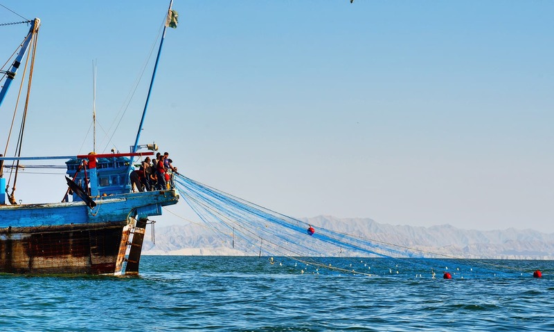 Why Astola Island is a hidden gem of Pakistan - Pakistan - DAWN.COM