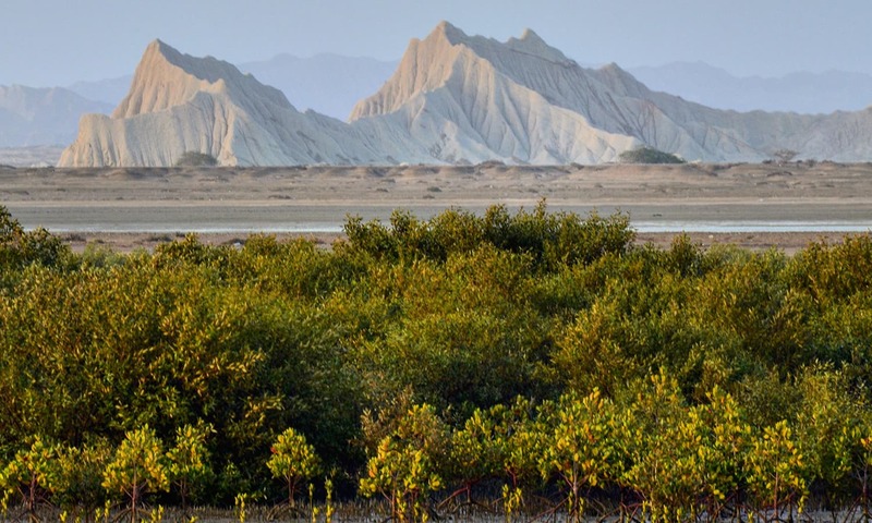 Why Astola Island is a hidden gem of Pakistan - Pakistan - DAWN.COM