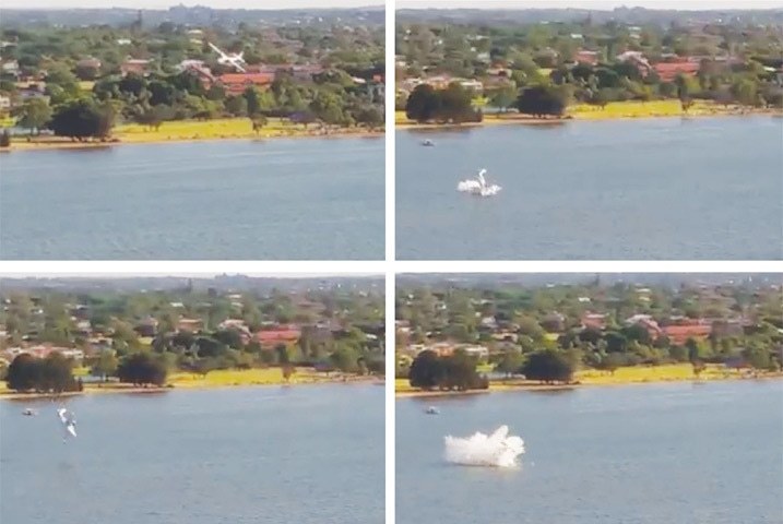 Thousands watch as plane plunges into river in Australia - Newspaper ...
