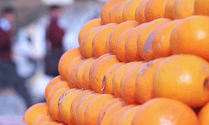 ‘Climate change may hit kinnow export’ - Pakistan - DAWN.COM