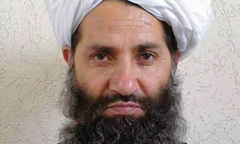 In ‘special message’, Taliban leader urges Afghans to plant more trees ...