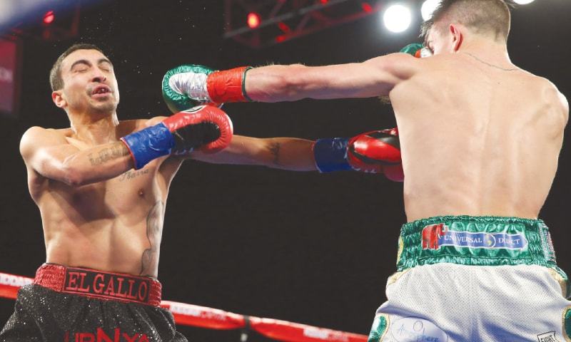 Conlan beats Ibarra in pro debut - Newspaper - DAWN.COM
