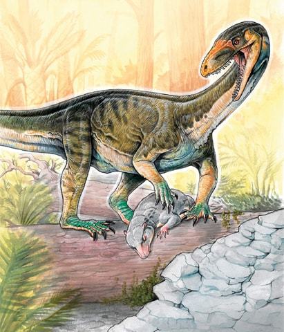 Dino ancestors looked like crocodiles: study - Newspaper - DAWN.COM