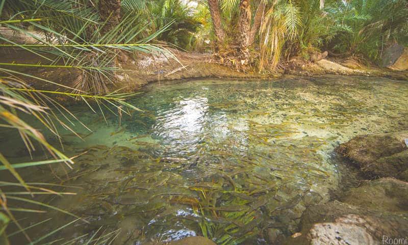 How I discovered the hidden springs of Khuzdar in Balochistan ...