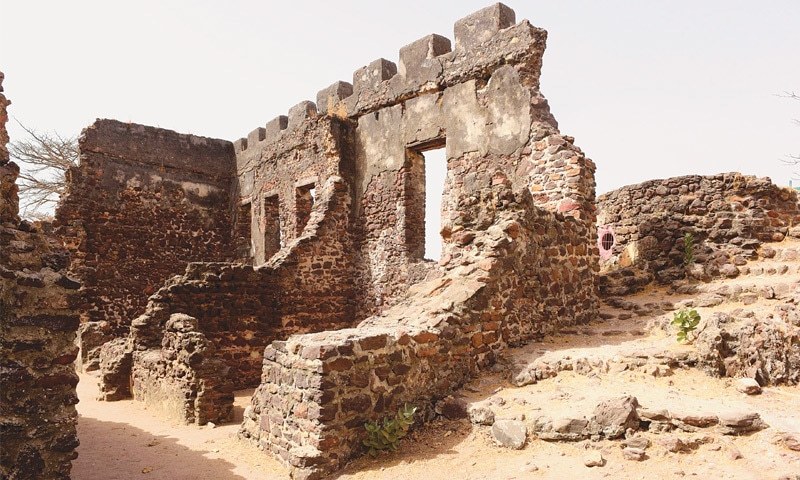 Gambia races to save its Roots on Kunta Kinteh island - Newspaper ...