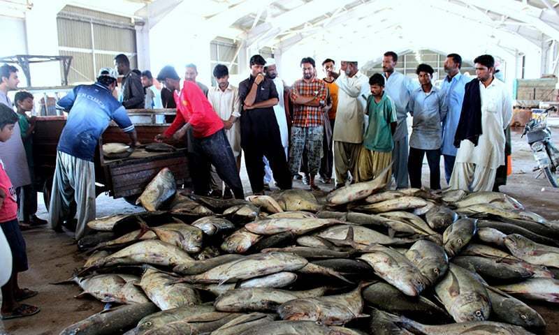 Gwadar fisherfolk worry about One Belt One Road - Pakistan - DAWN.COM